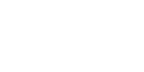 EcoMotion Electric Bike Reviews