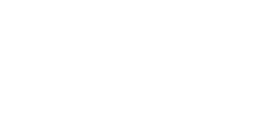 Mokwheel Electric Bike Reviews