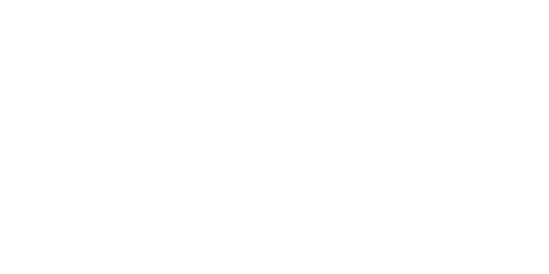 Silverback Electric Bike Reviews