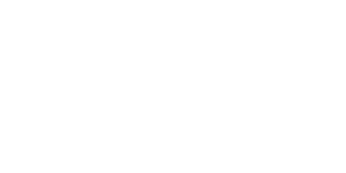 Swft Electric Bike Reviews