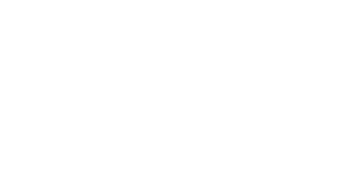 Wave Electric Bike Reviews