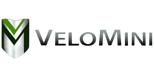 VeloMini Electric Bike Reviews