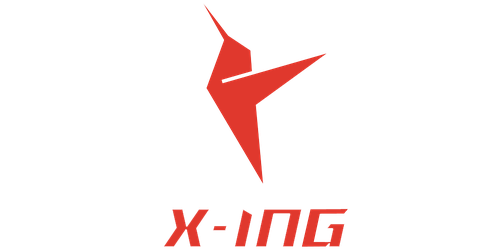 Xing Technologies Electric Bike Reviews