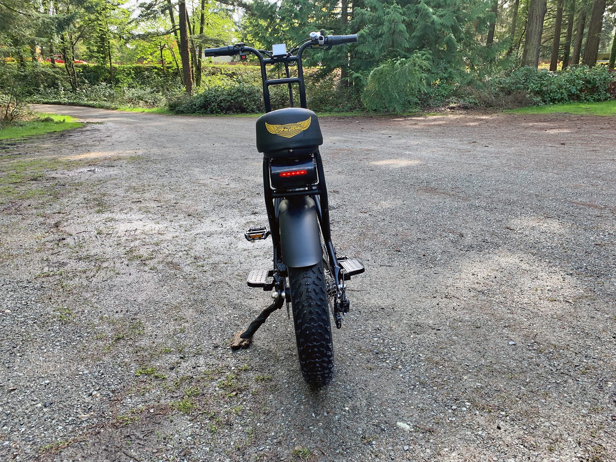 2019 Ariel Rider D-Class Review