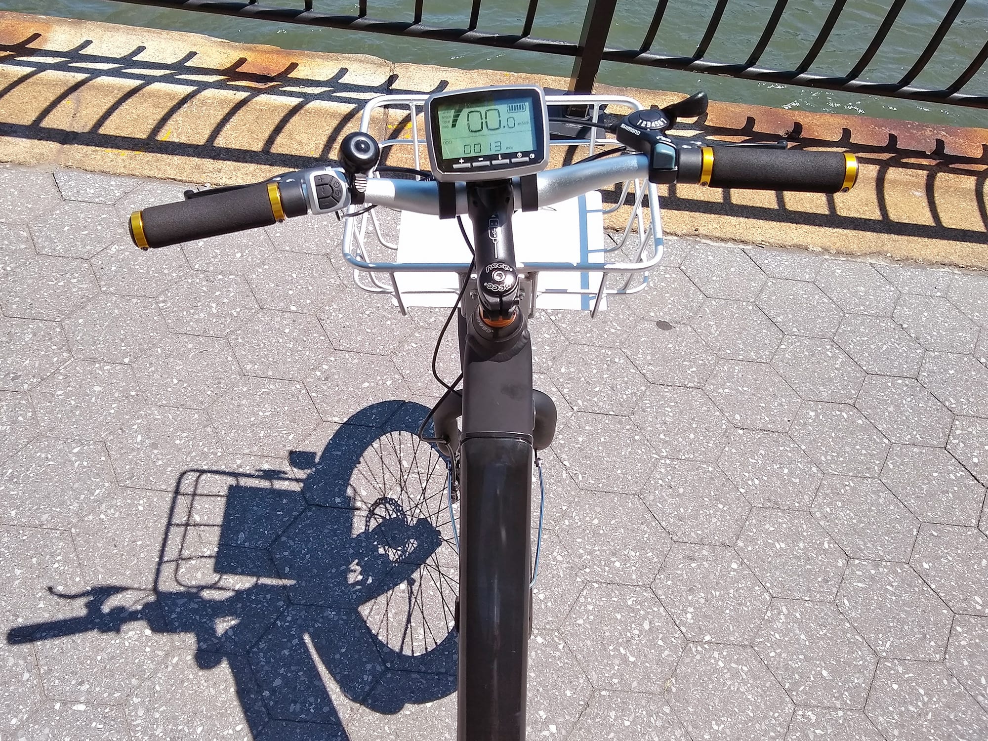 2019 BUZZ BUZZ Review