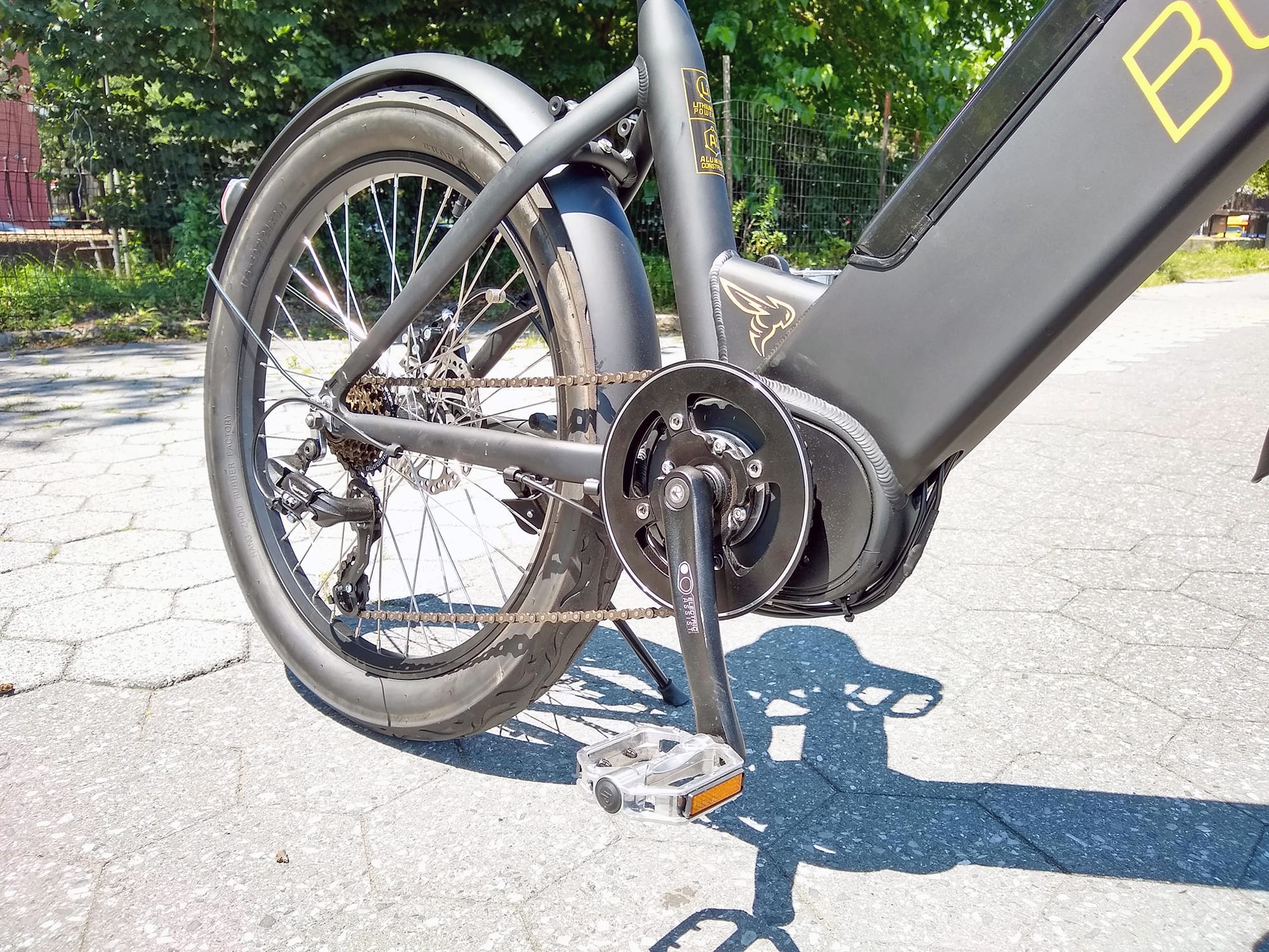 2019 BUZZ BUZZ Review