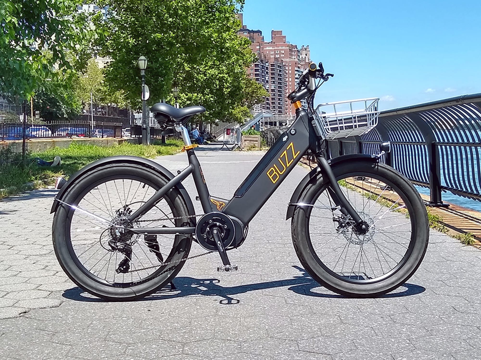 2019 BUZZ BUZZ Review