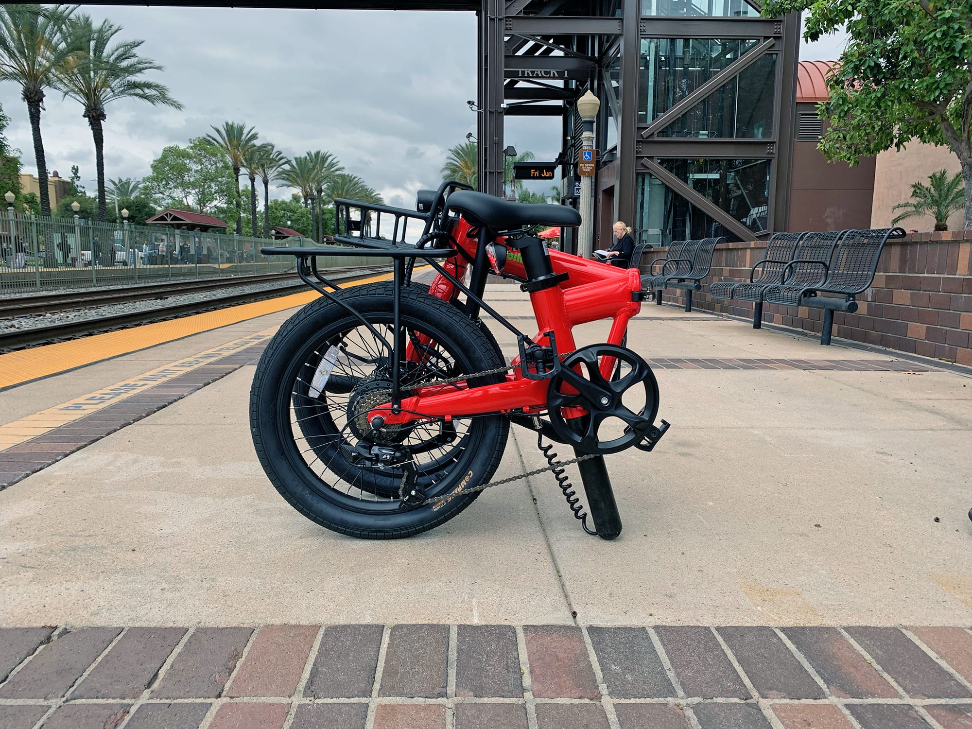 2019 Qualisports Dolphin Review