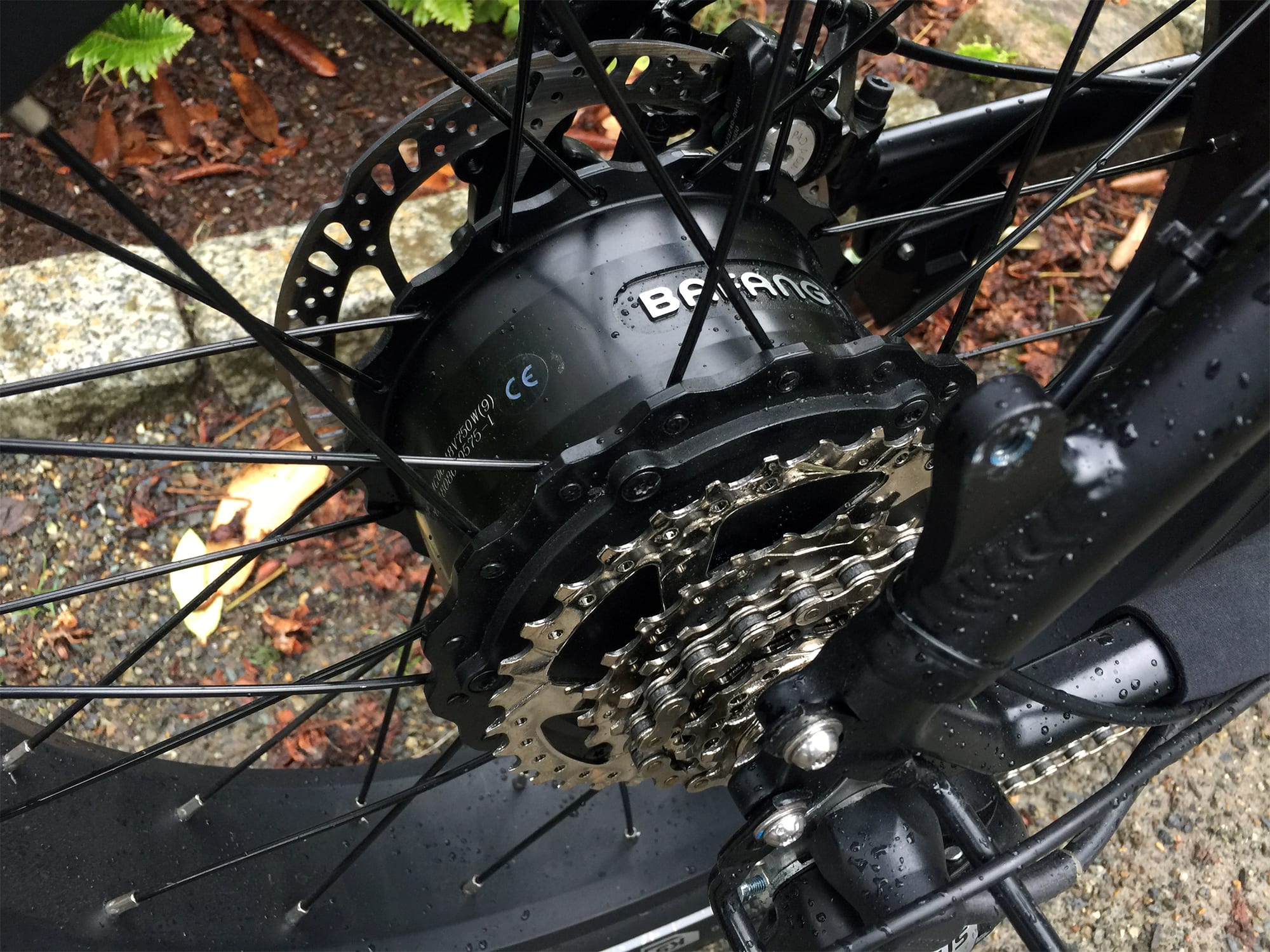 2019 Rad Power Bikes RadMini Review