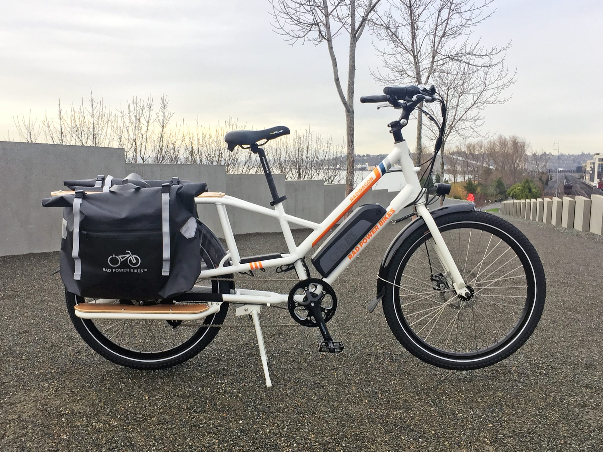 2019 Rad Power Bikes RadWagon Review