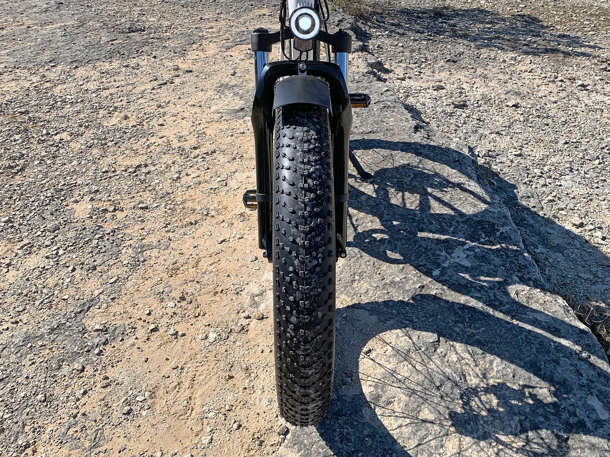 2020 Rad Power Bikes RadRover Step-Thru 1 Review