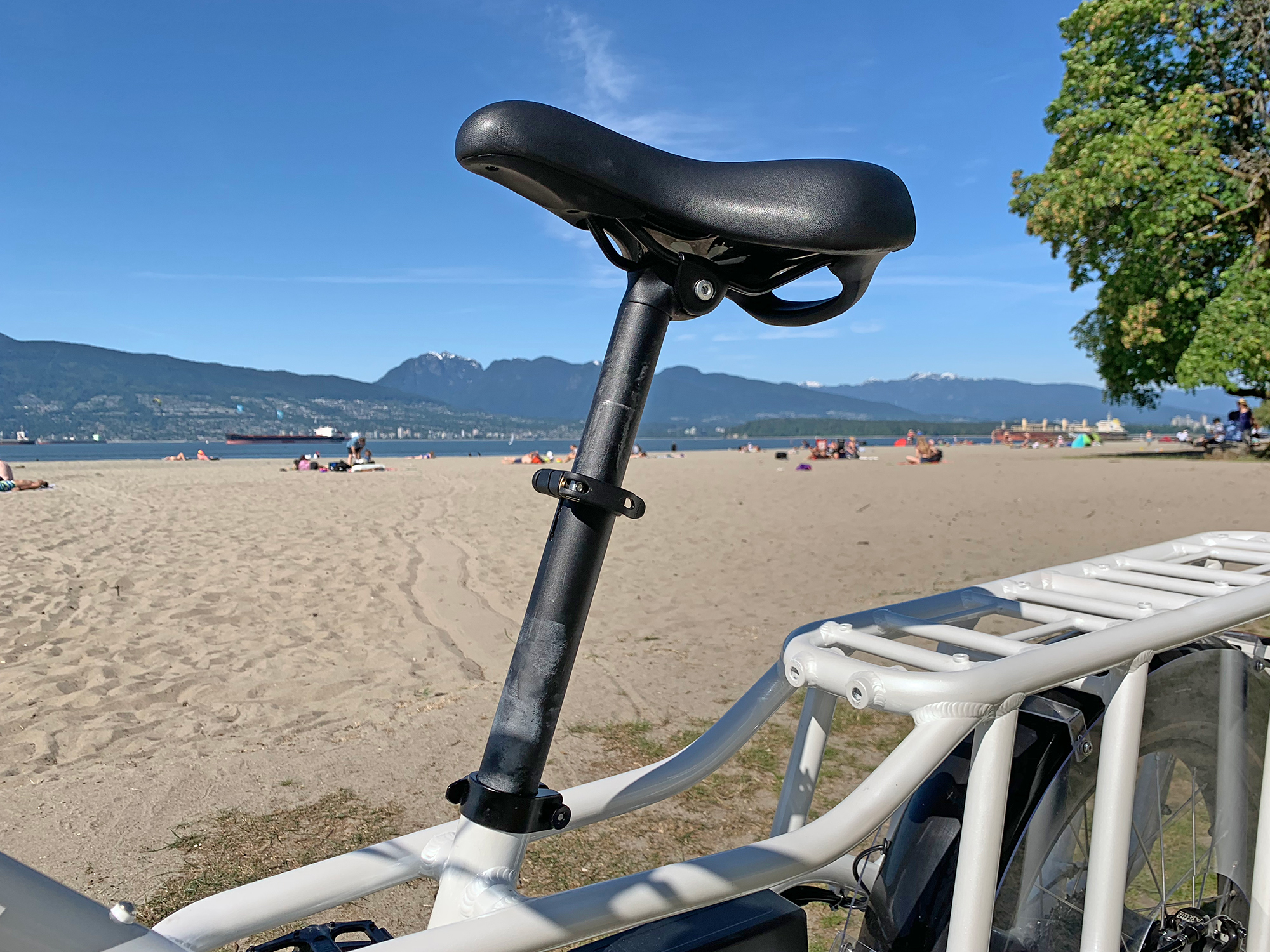 2020 Rad Power Bikes RadWagon 4 Review