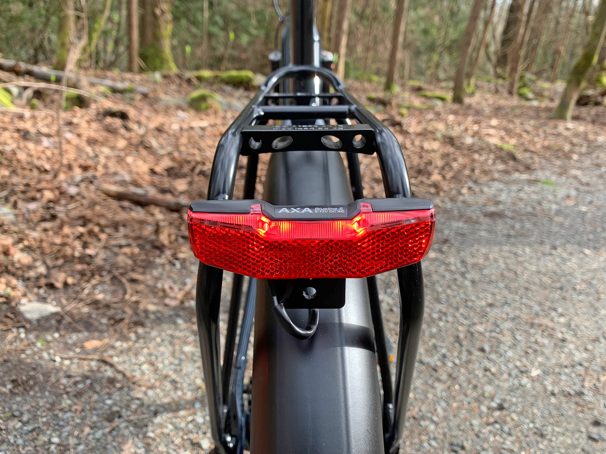 2020 Trek Allant+ 7 Review