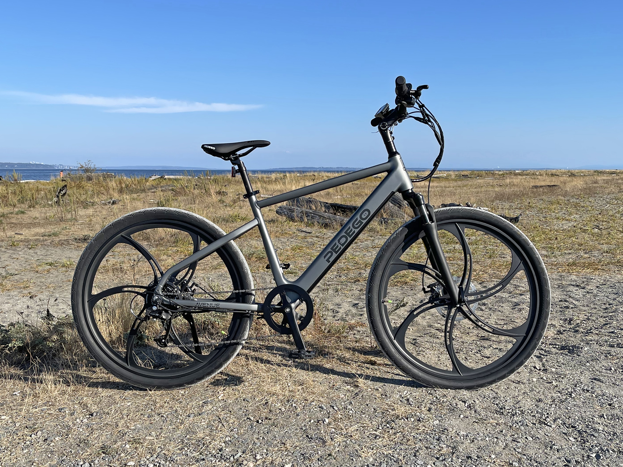 2022 Pedego Avenue Review