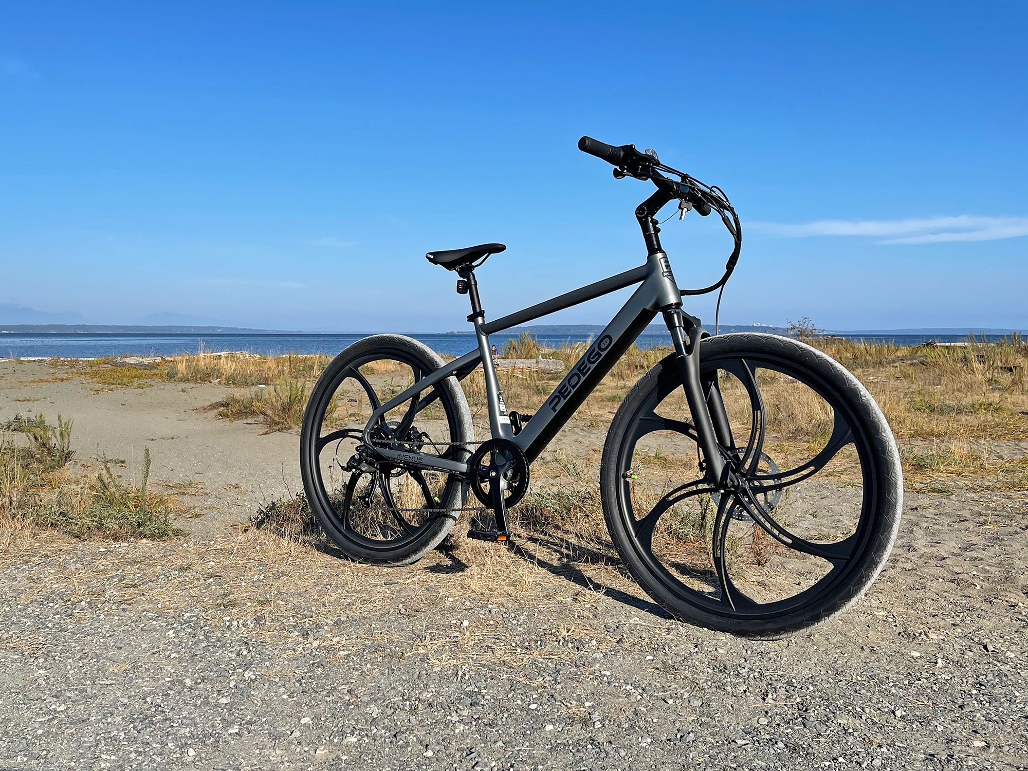 2022 Pedego Avenue Review