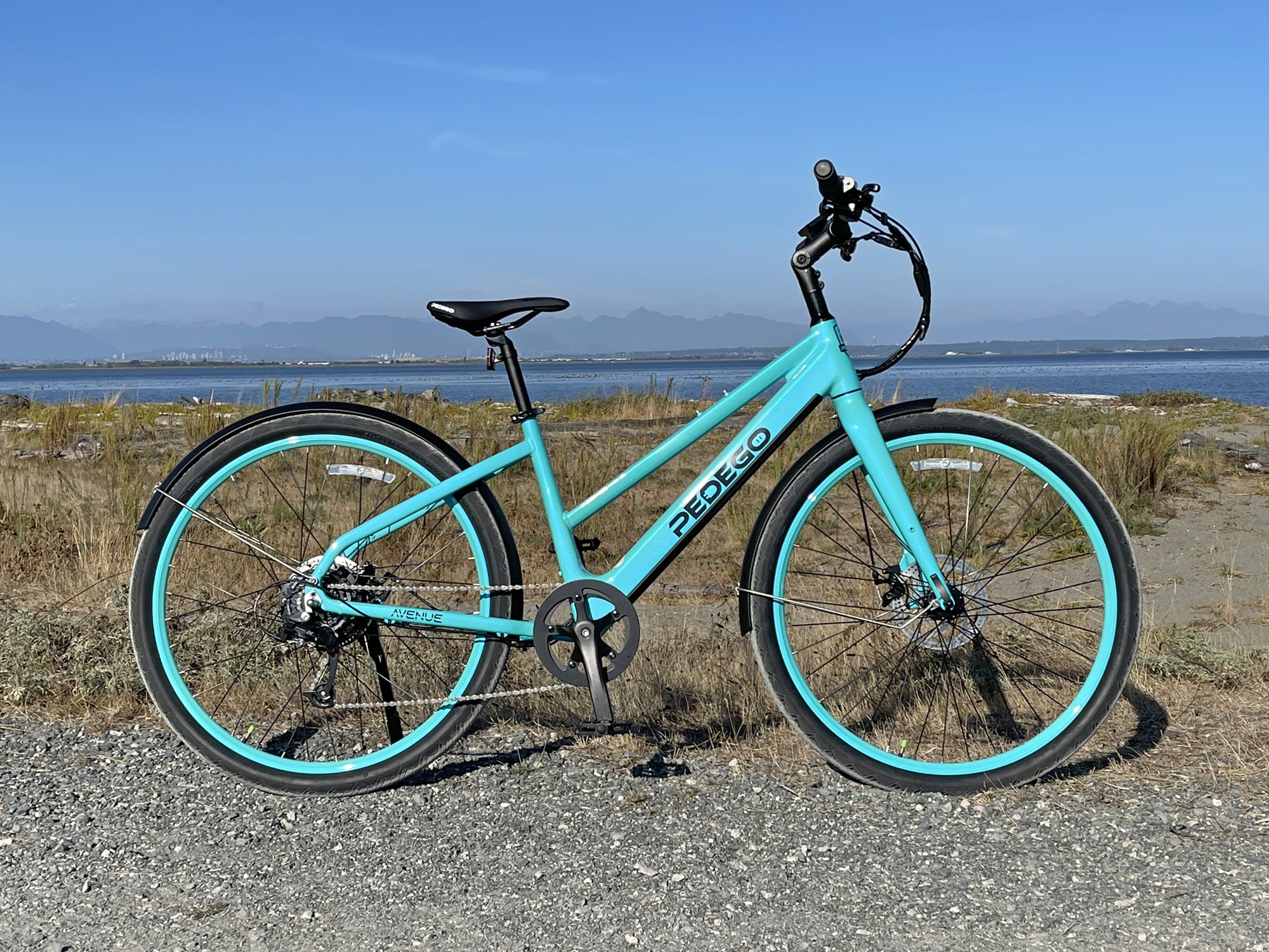 2022 Pedego Avenue Review