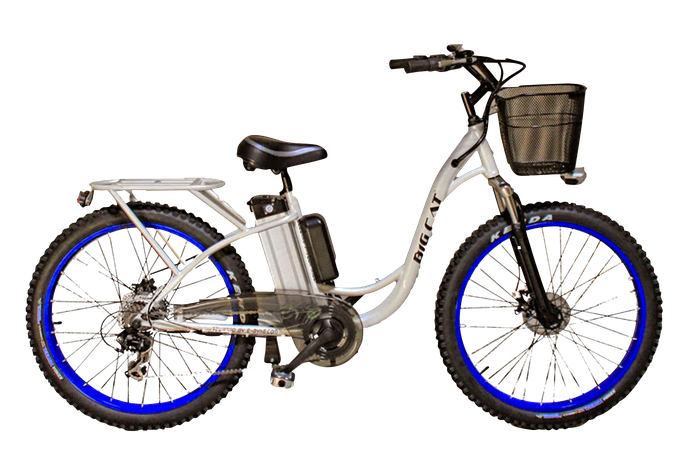 2014 Big Cat Long Beach Cruiser Review