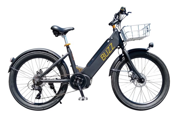 2019 BUZZ BUZZ Review